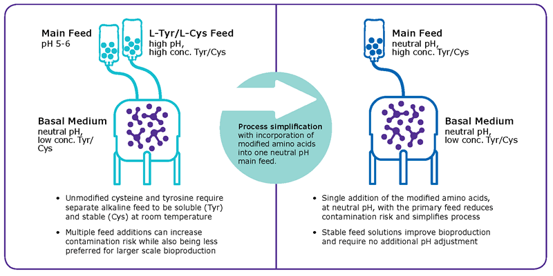 Chemically modified amino acids enable the evolution of fed-batch ...