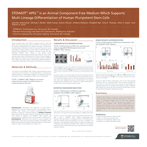 STEMdiff APEL is an Animal Component-Free Medium Which Supports Multi ...