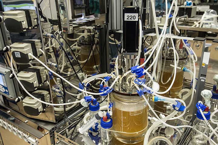 Partnerships and new product launches among recent trends in the single ...