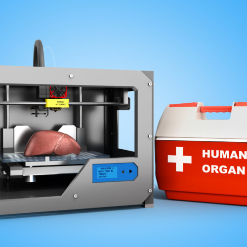 Stem Cell Research Archives