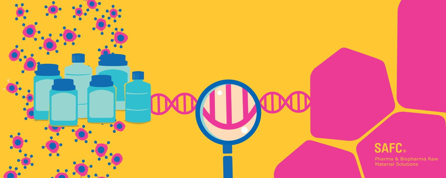 Platform Approach to Accelerating Cell Line and Process Development
