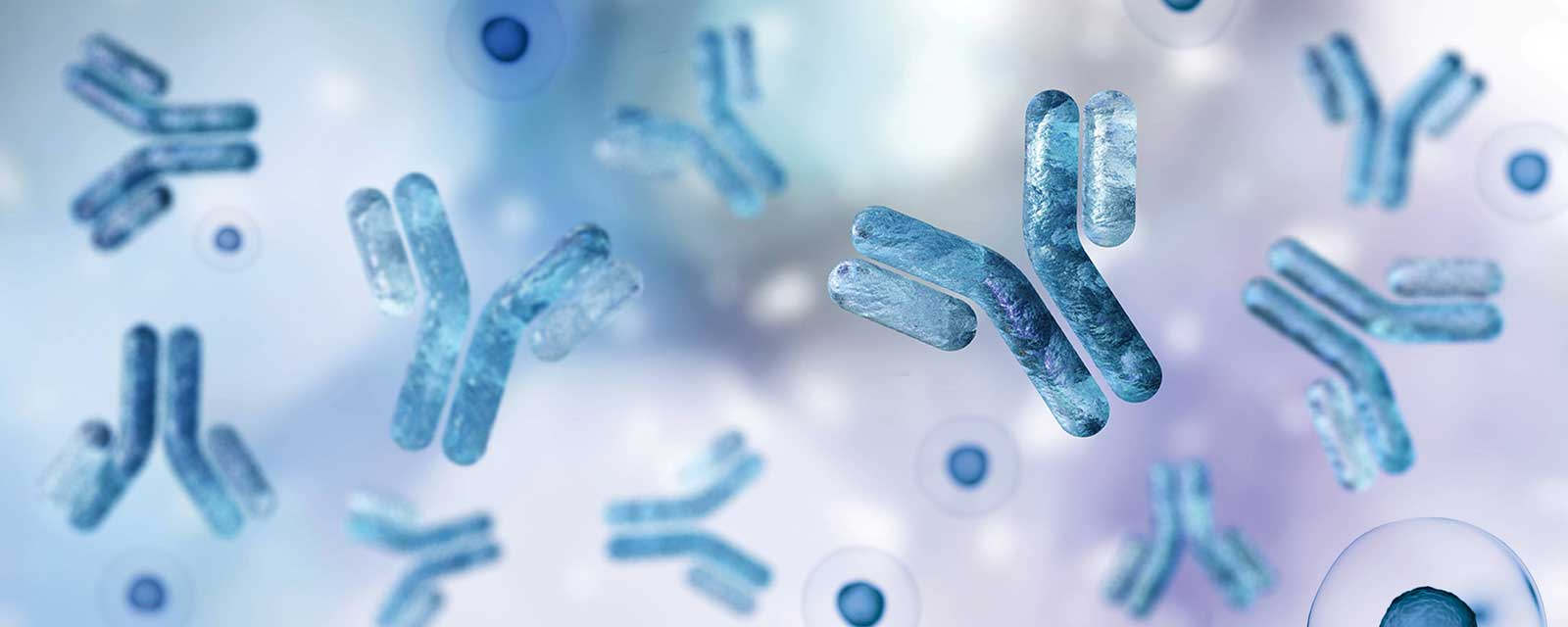 CHOSOURCE™ GS Knockout Cell Line Provides Flexible Solutions to ...