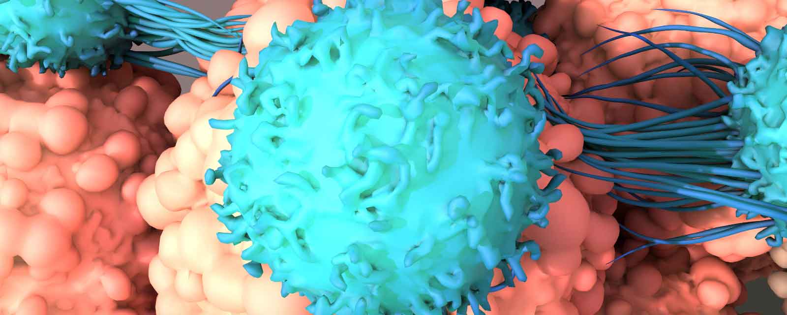 In-Process Analytics are Key to Successful Cell Therapy Process ...