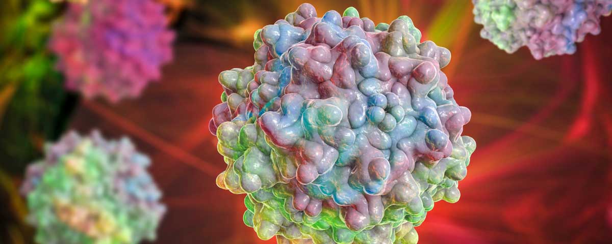 Bioreactor platform supports intensified processes to meet increasing ...