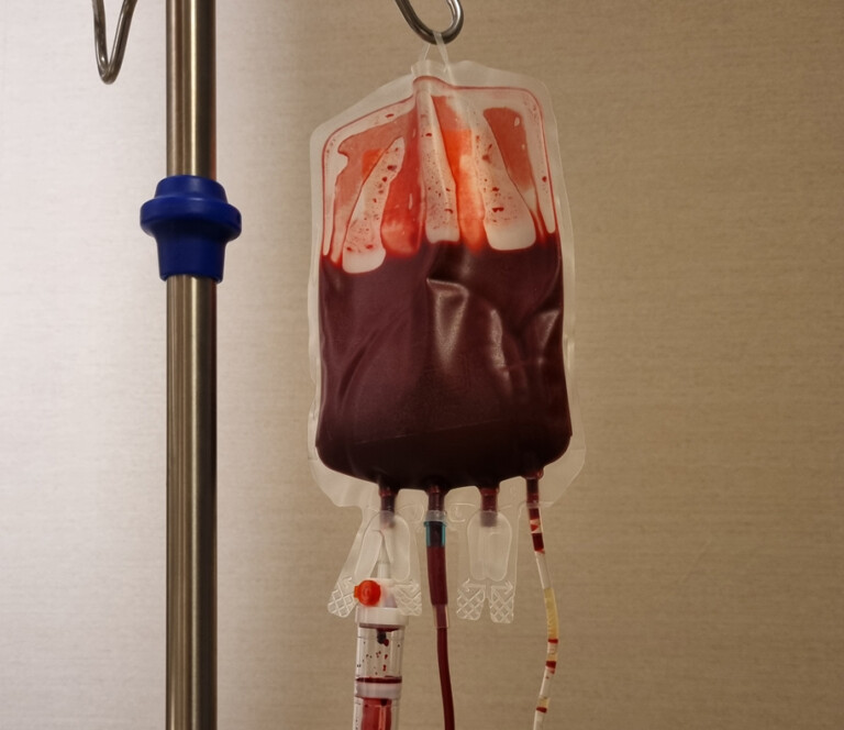 Demystifying Cord Blood: Answers to Common Questions from Cell Therapy ...