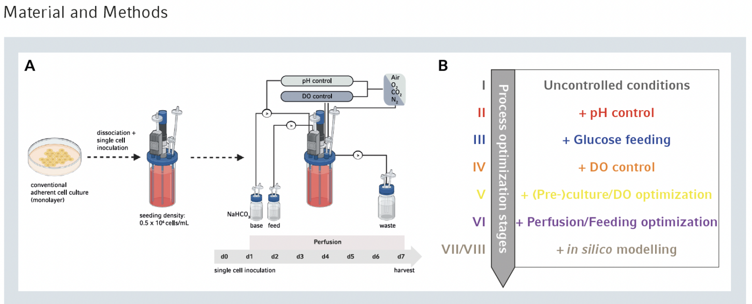 Boosting iPSC Numbers Using Methodical Optimization of Culture Processes