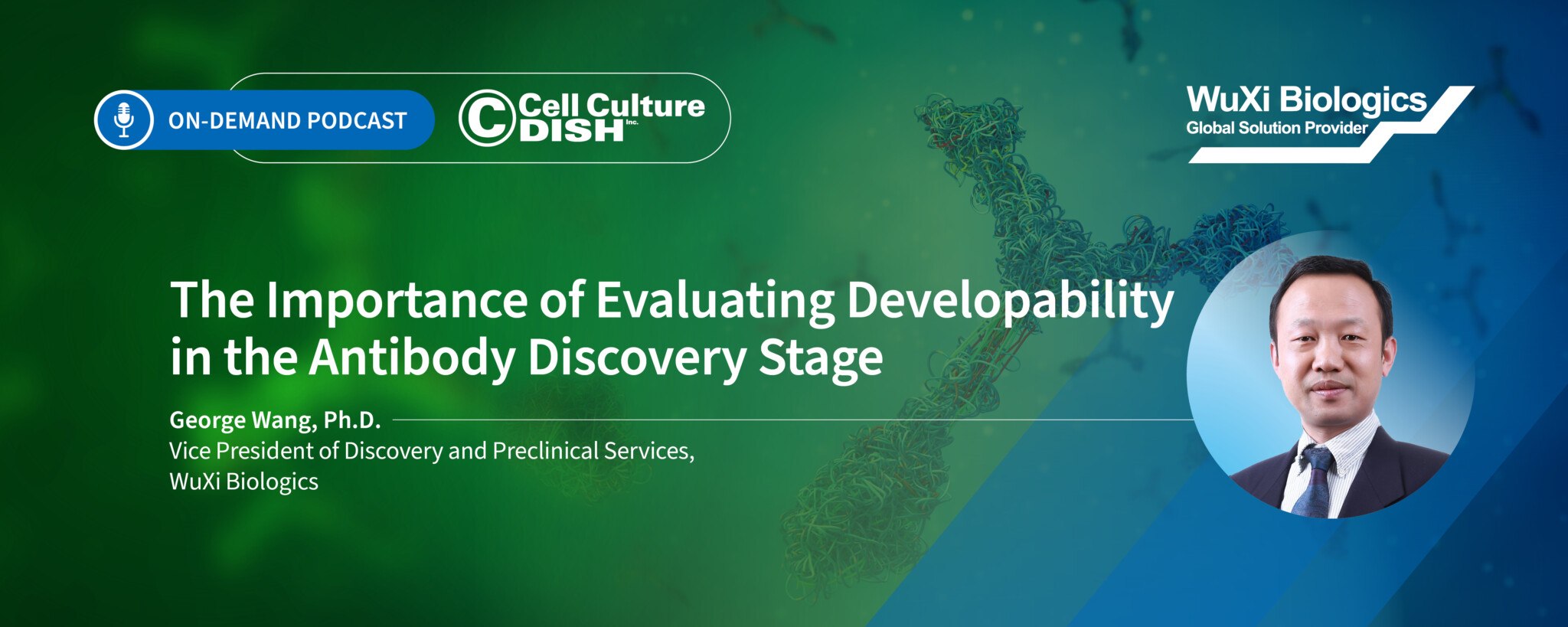 Assessing Developability in the Antibody Discovery Stage is A Key to Success