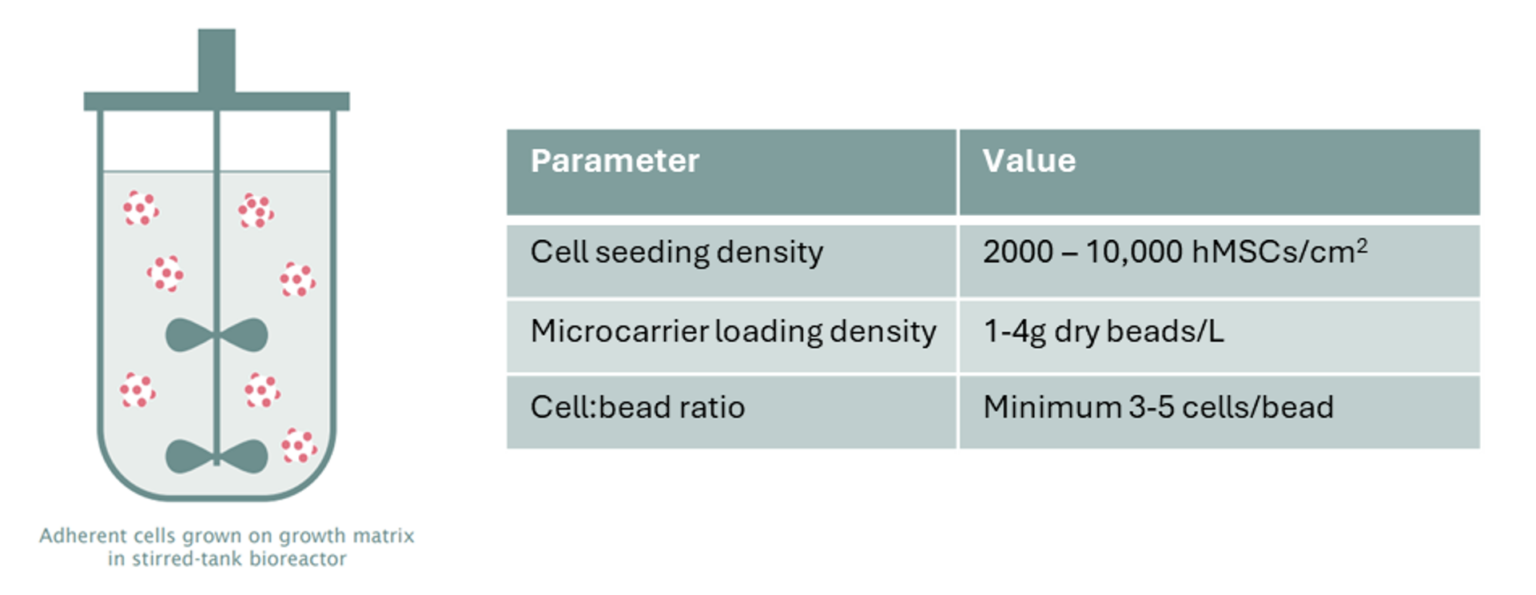 Best Practices for Cell and Gene Therapy Biomanufacturing